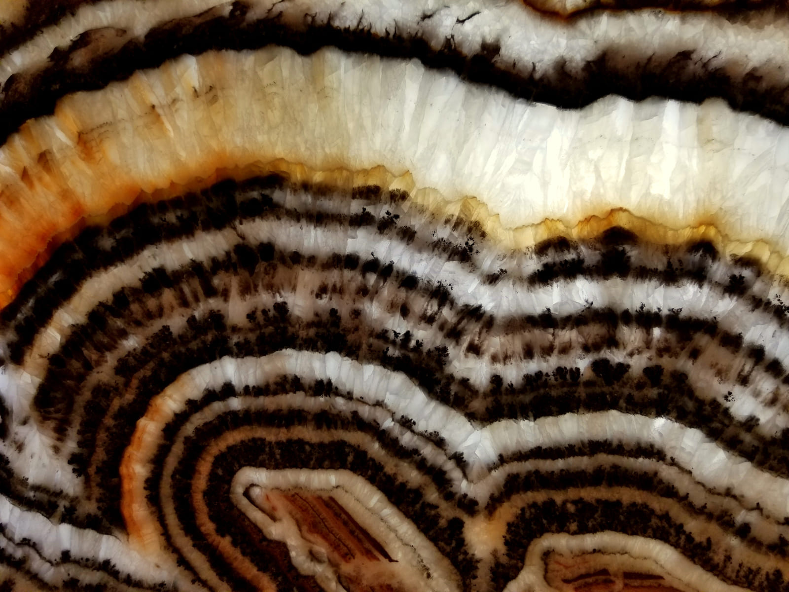 Onyx: Meaning, Properties | Crystal Guide